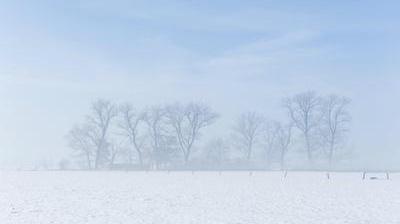 Voici les photos des premiers flocons de neige - Le Soir